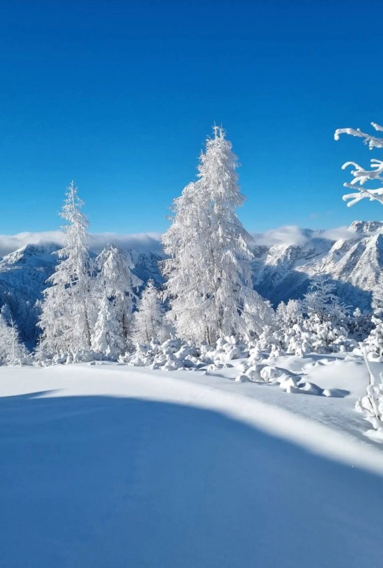 wss ski – hinterstoder